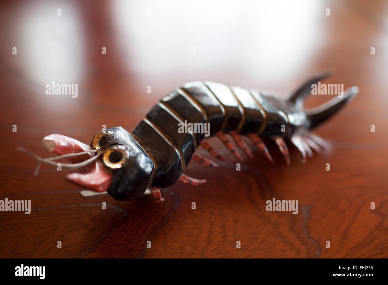 Centipedes hi-res stock photography and images - Alamy