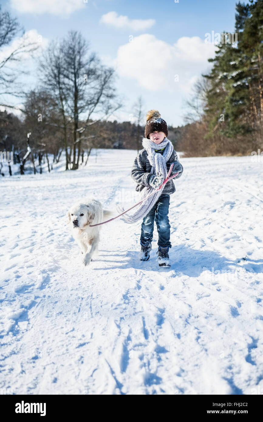 Boy walking dog hi-res stock photography and images - Alamy