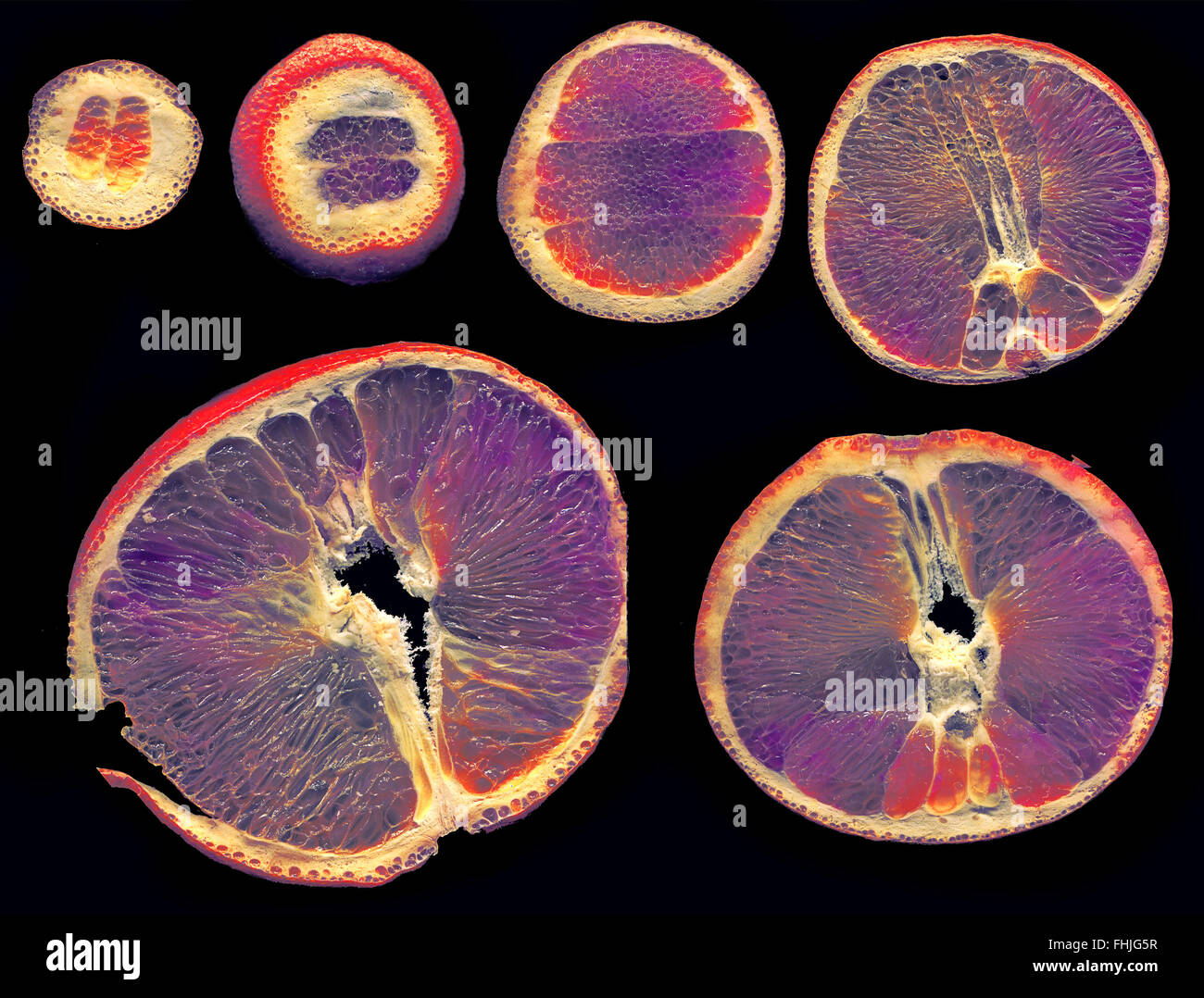 Slices of orange, altered color Stock Photo - Alamy