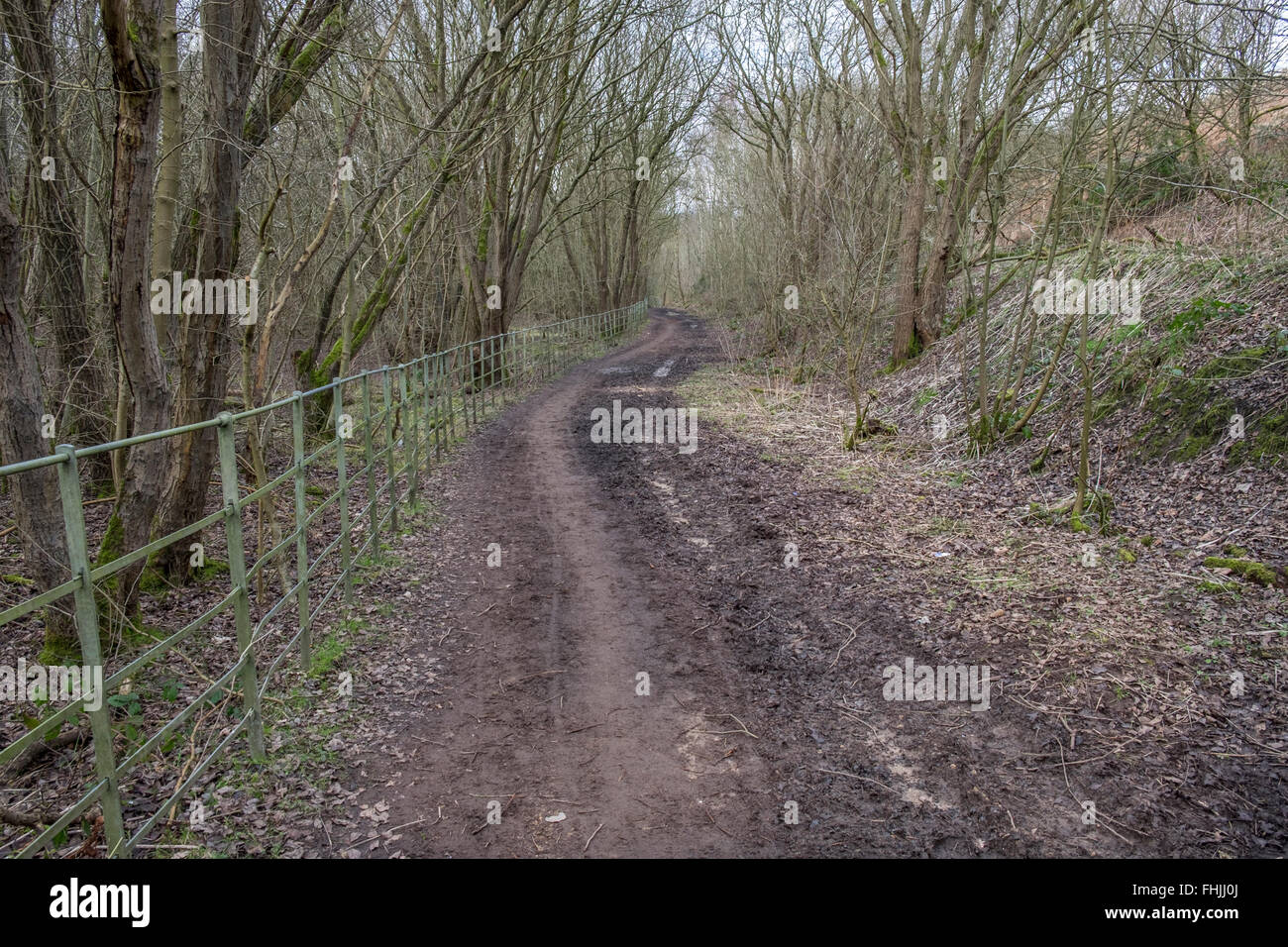 Bridal pathway and small road leading into a country park Stock Photo ...