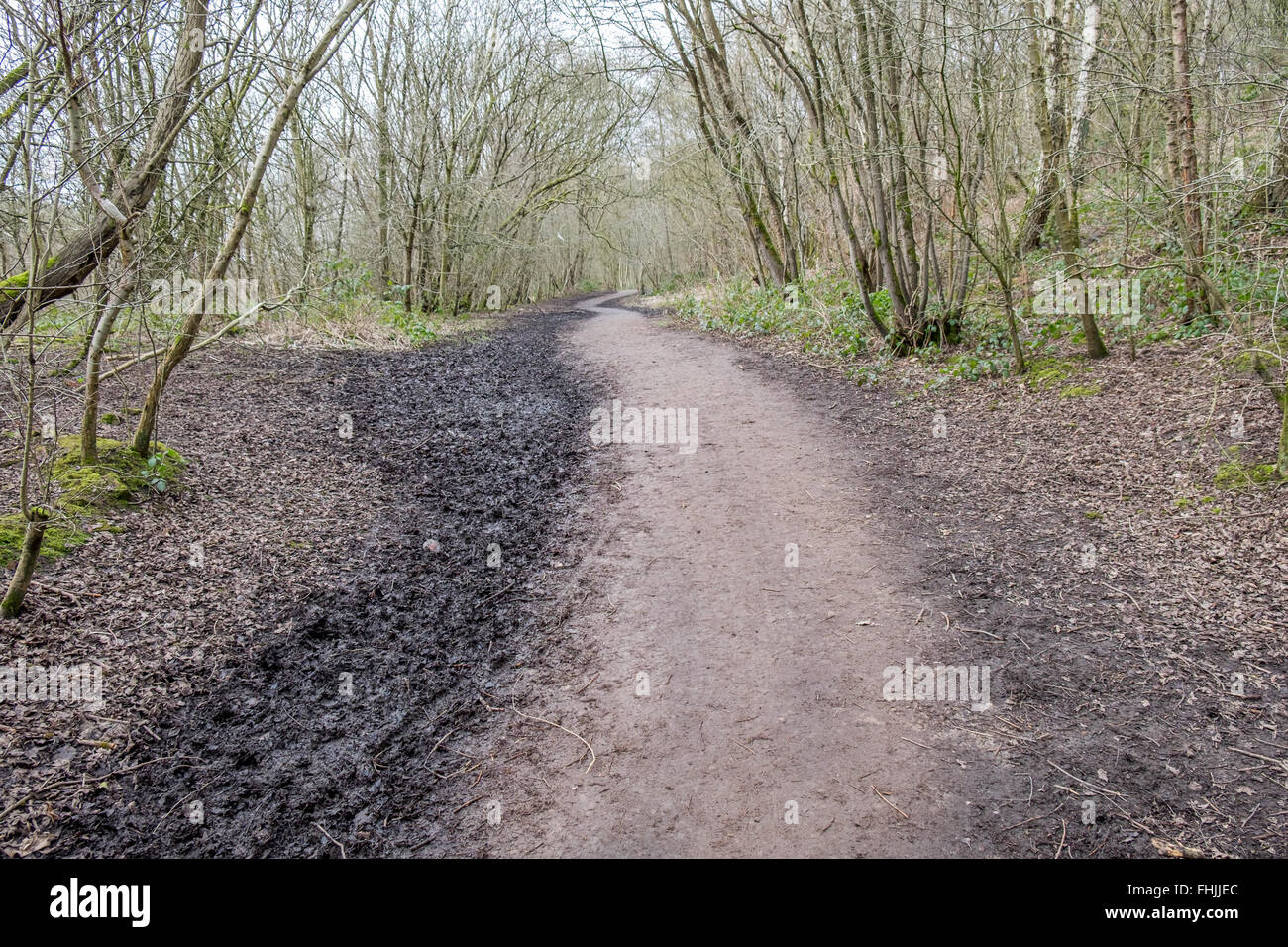 Bridal pathway and small road leading into a country park Stock Photo ...