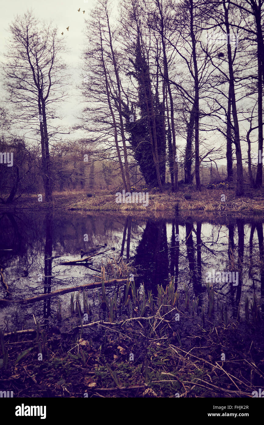 Eerie Pond High Resolution Stock Photography and Images - Alamy