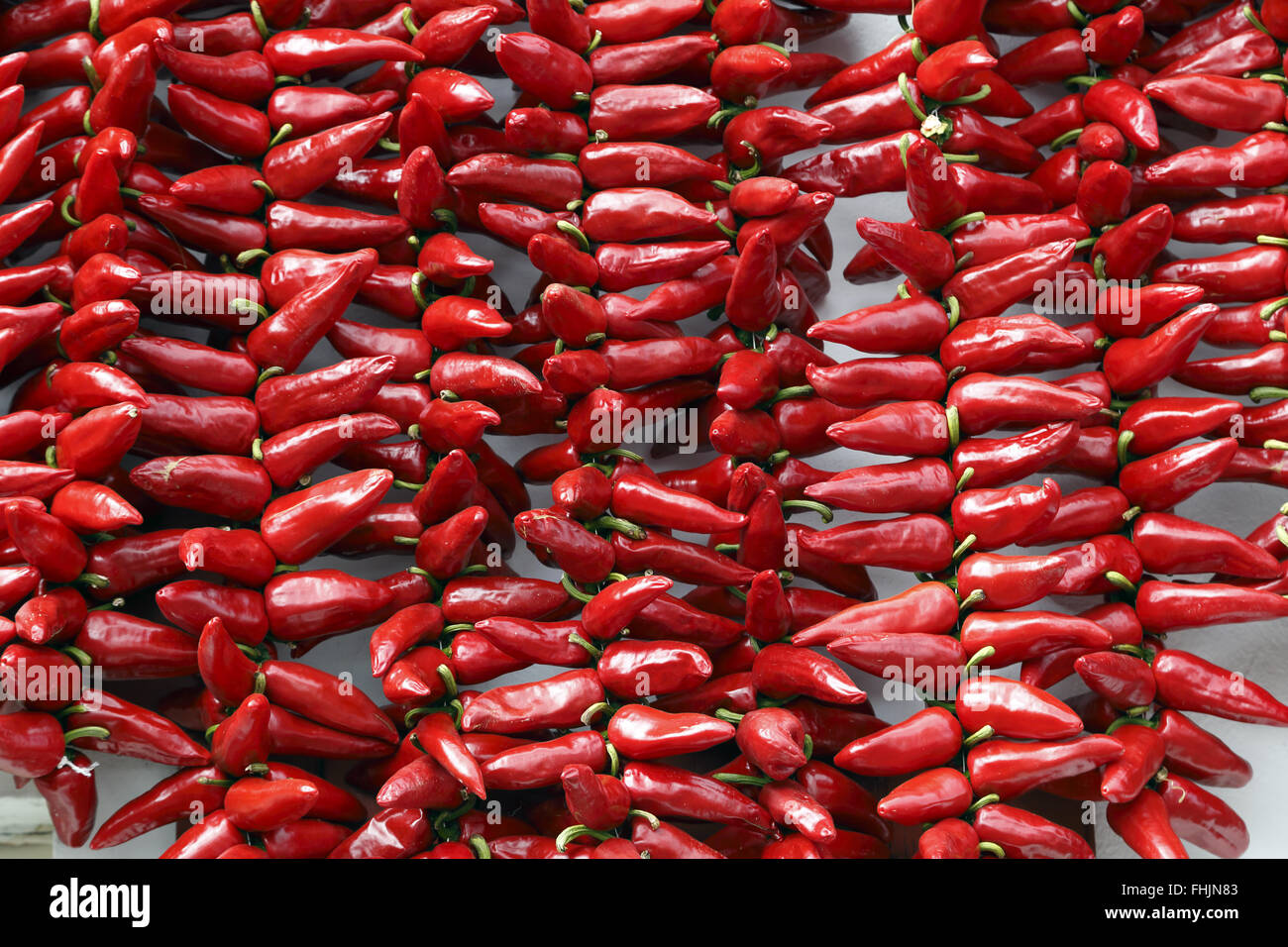 Ropes attached peppers on the facade of a house in the village center ...