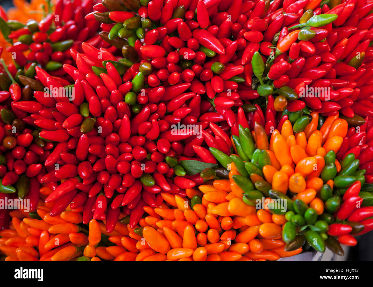 Close-up view of bunches of red, orange and green fresh chilli peppers ...