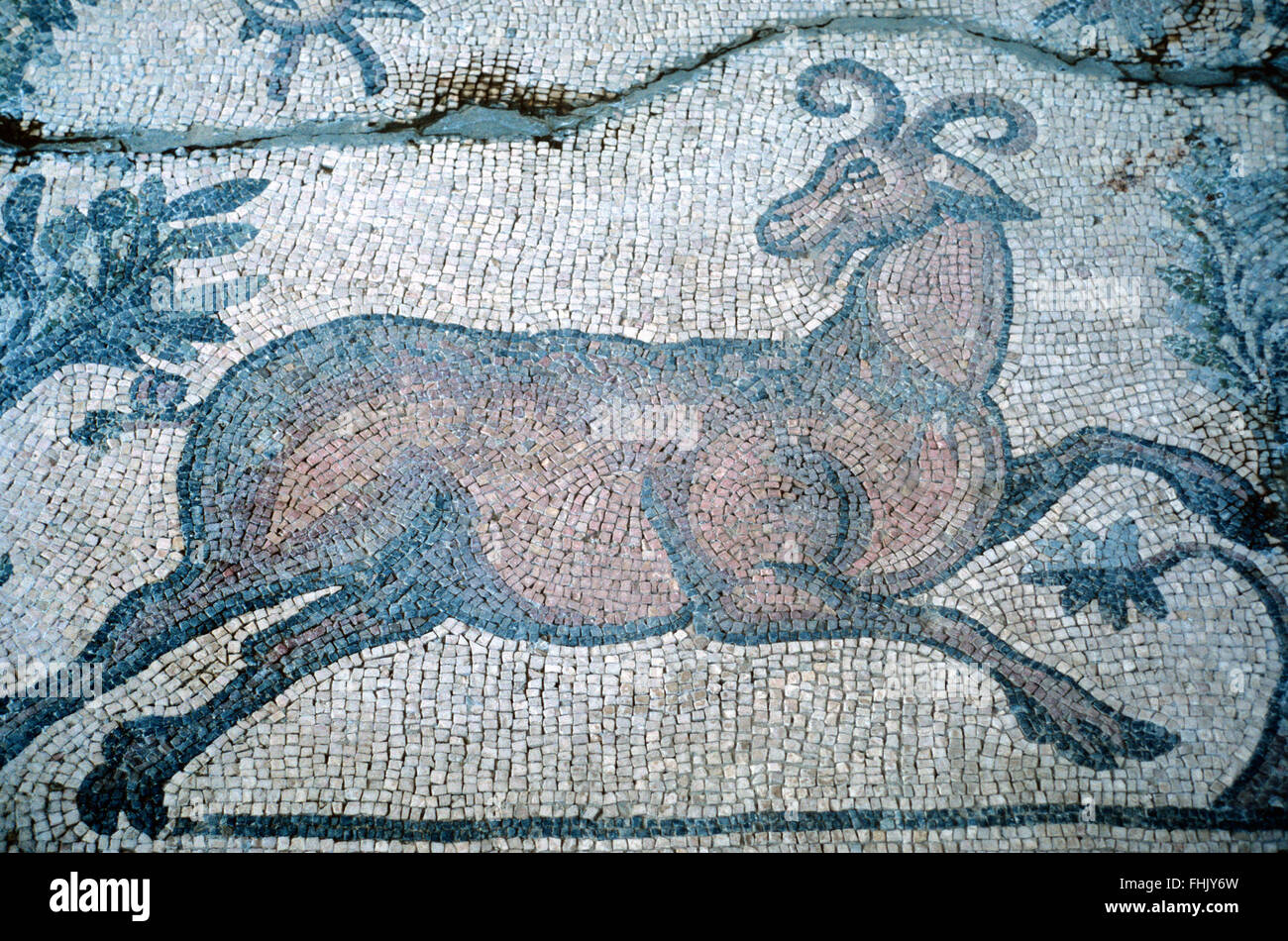 Roman Floor Mosaic of Leaping Goat in Urfa or Sanliurfa Museum Turkey ...