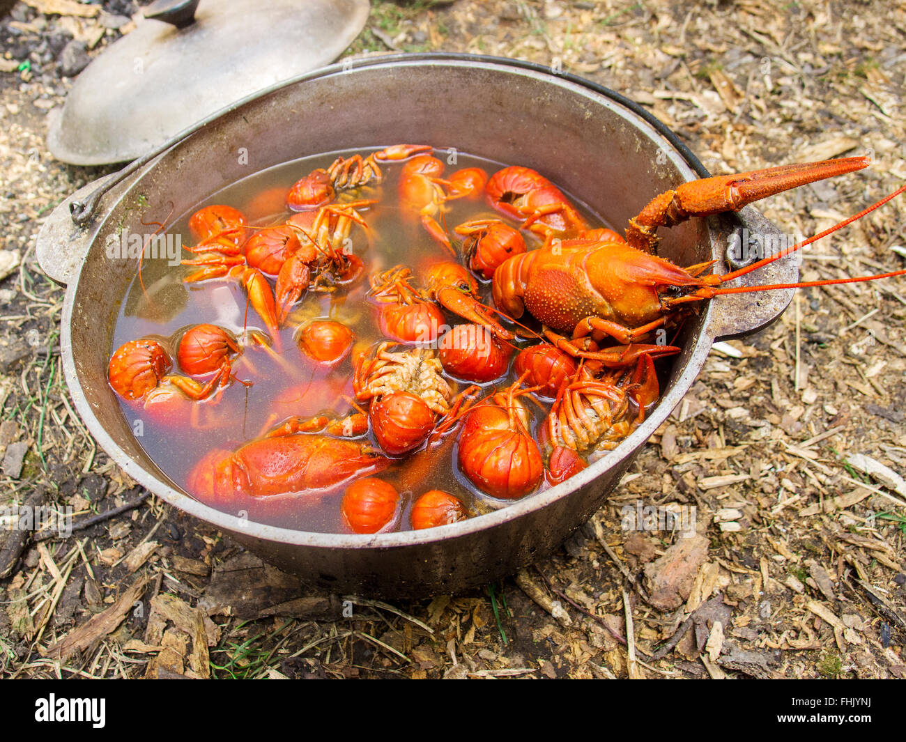 Cooked crabs in casserole Stock Photo - Alamy