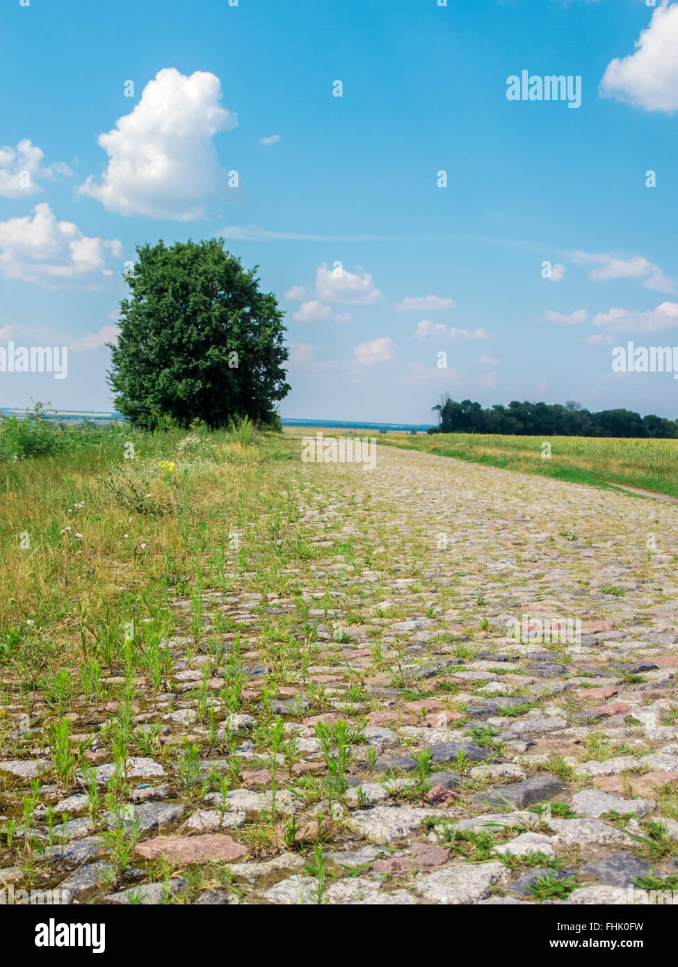 rural stone road. Ukraine, Europe Stock Photo - Alamy