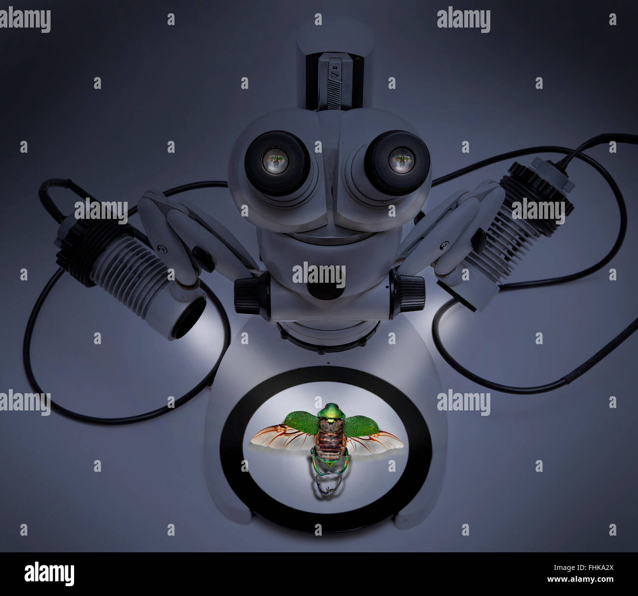 Zeiss Greenough stereo microscope, with twin macro illumination ...