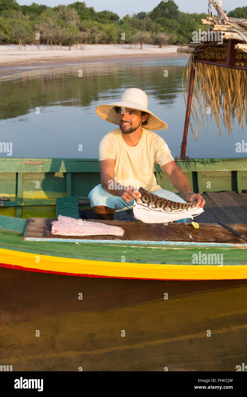 Fisherman preparing a surubim catfish on the beach in Alter do Chao ...