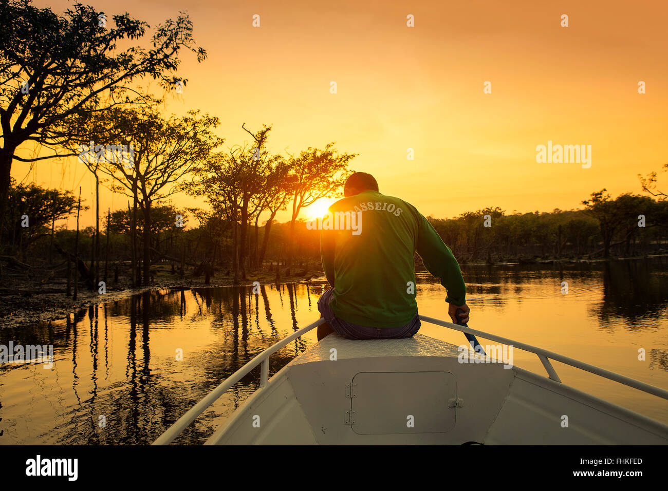 Brazil, Brazilian Amazon, Para, Tapajos river, boat trip in flooded ...