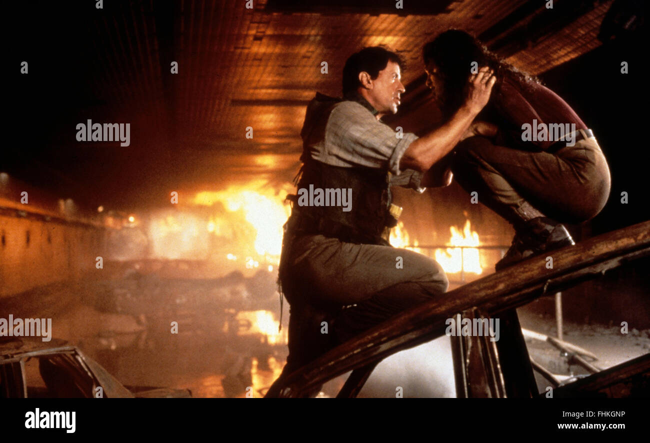 Stallone Daylight Stock Photos & Stallone Daylight Stock Images - Alamy
