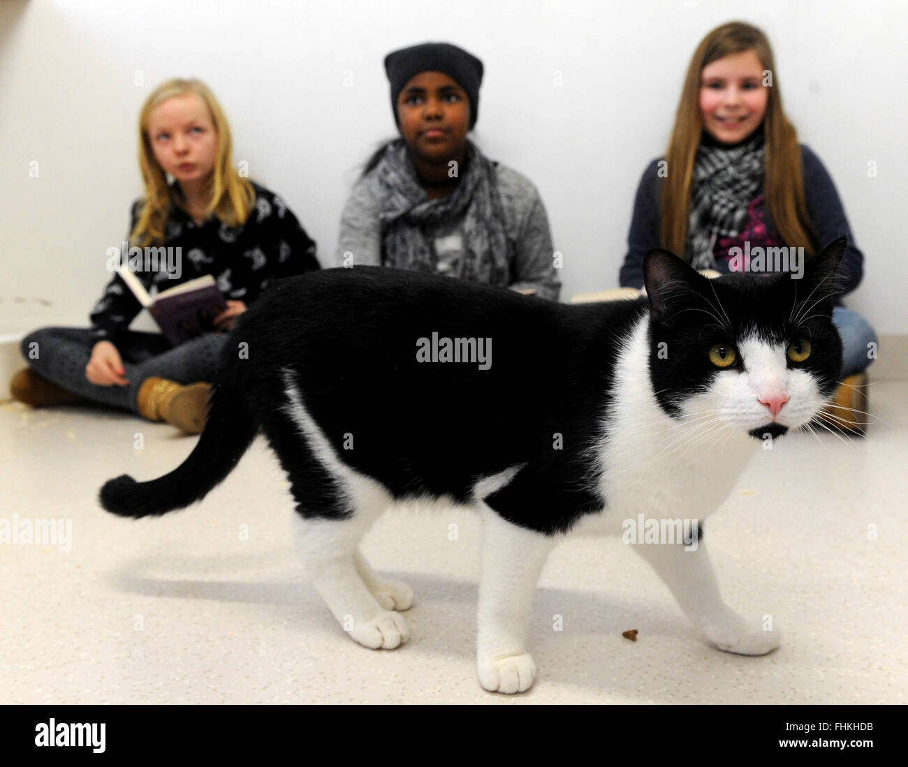 Bremen, Germany. 25th Feb, 2016. Sophie (l-r), Melina and Franziska ...