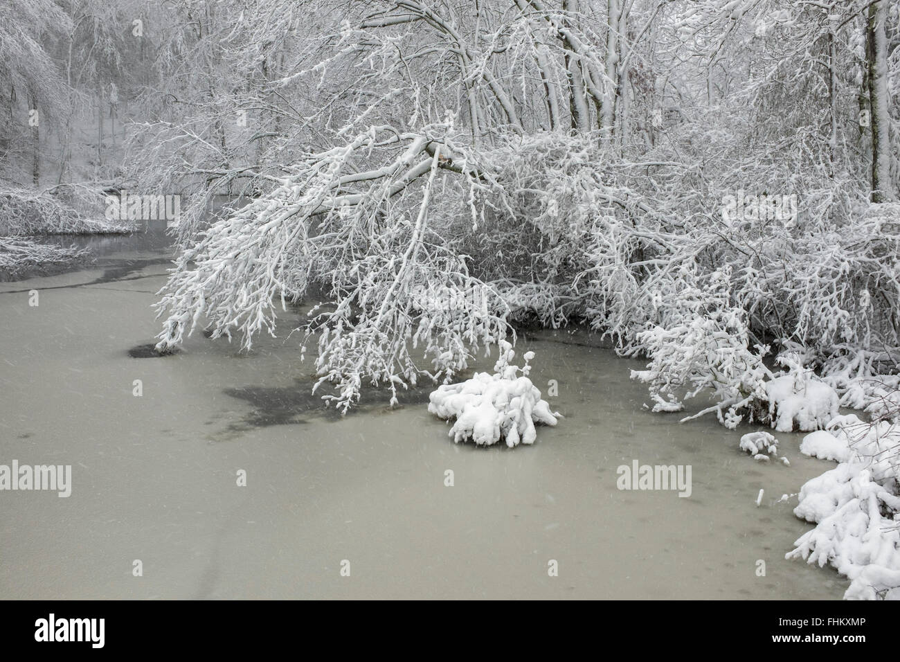 Snowing on Trees by a Stream Stock Photo - Alamy