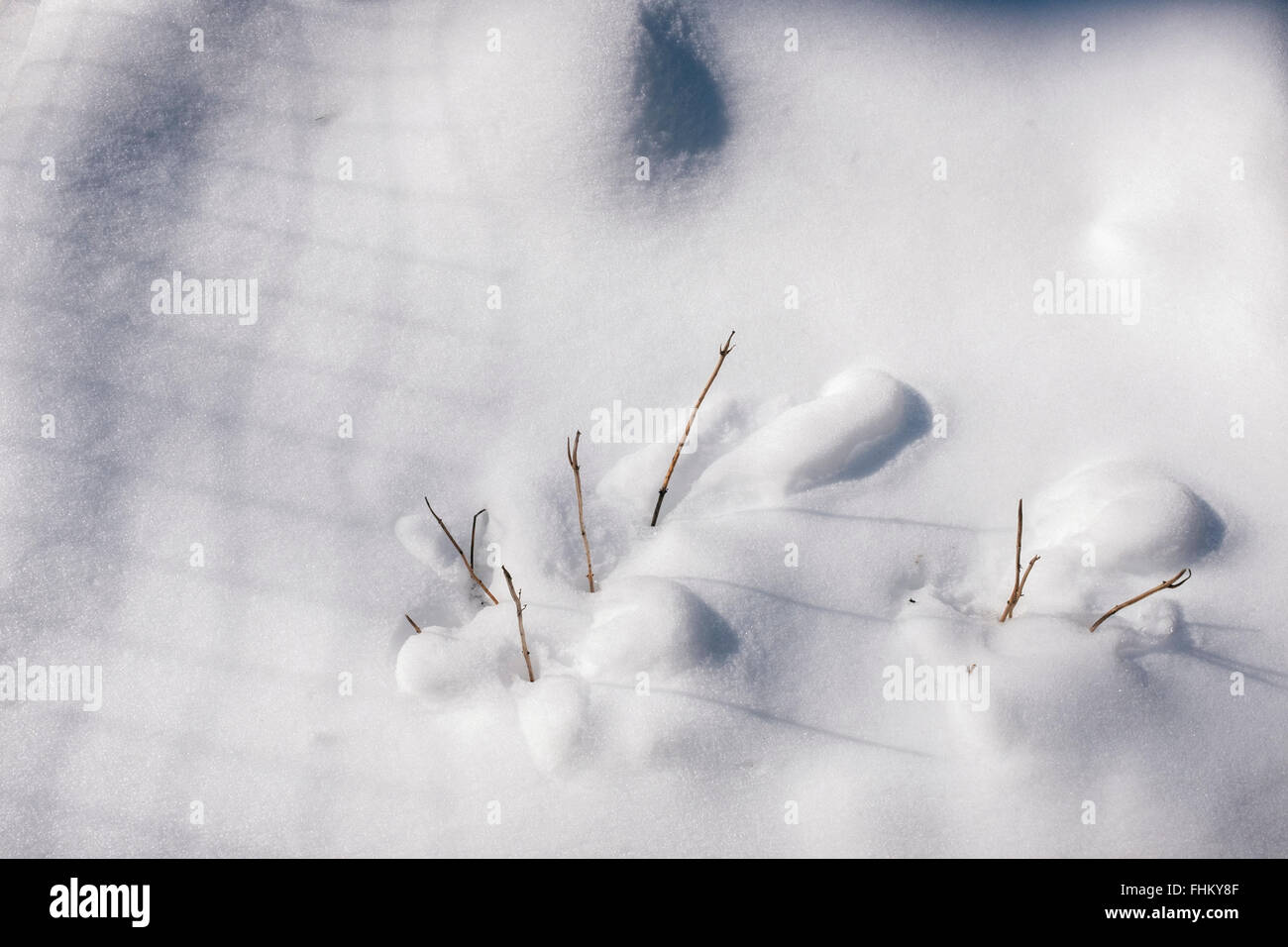 Shadows on Snow Stock Photo - Alamy