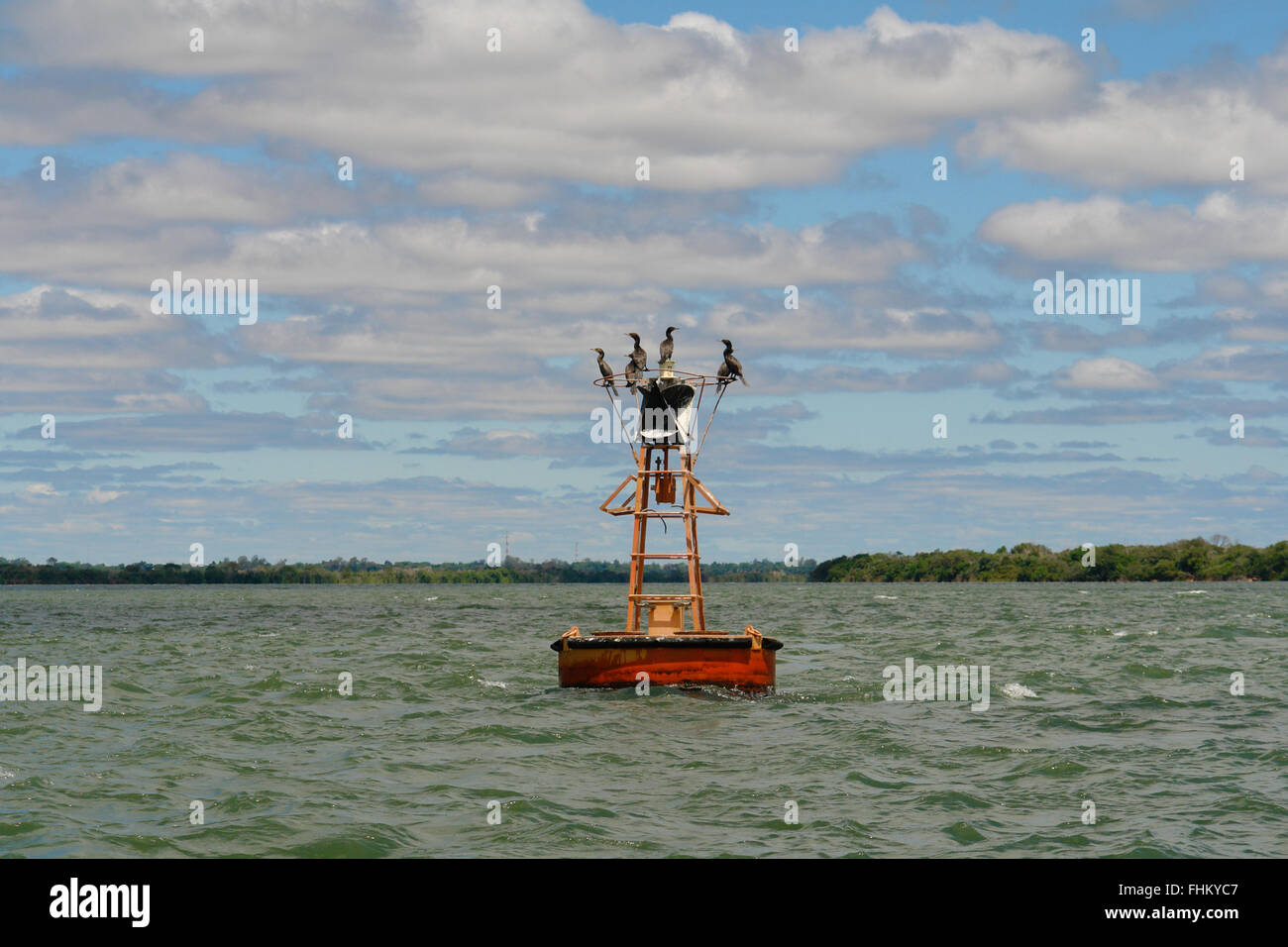 Buoy whit ducks Stock Photo - Alamy