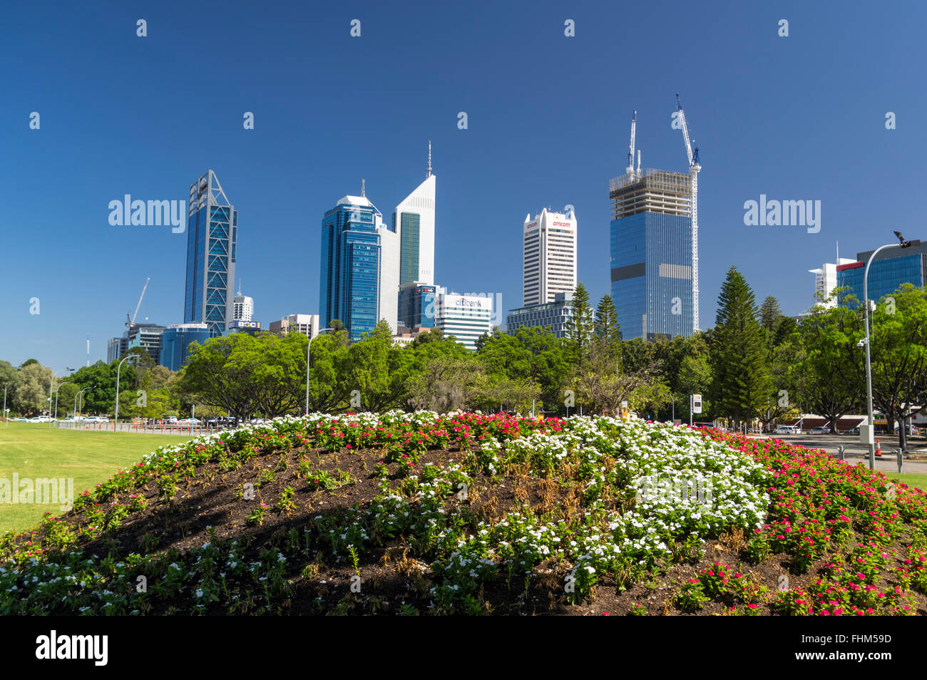 Flowers perth hi-res stock photography and images - Alamy
