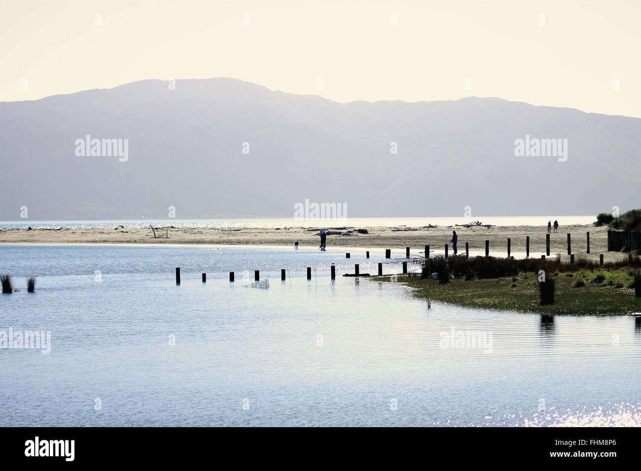 Waikanae estuary new zealand hi-res stock photography and images - Alamy