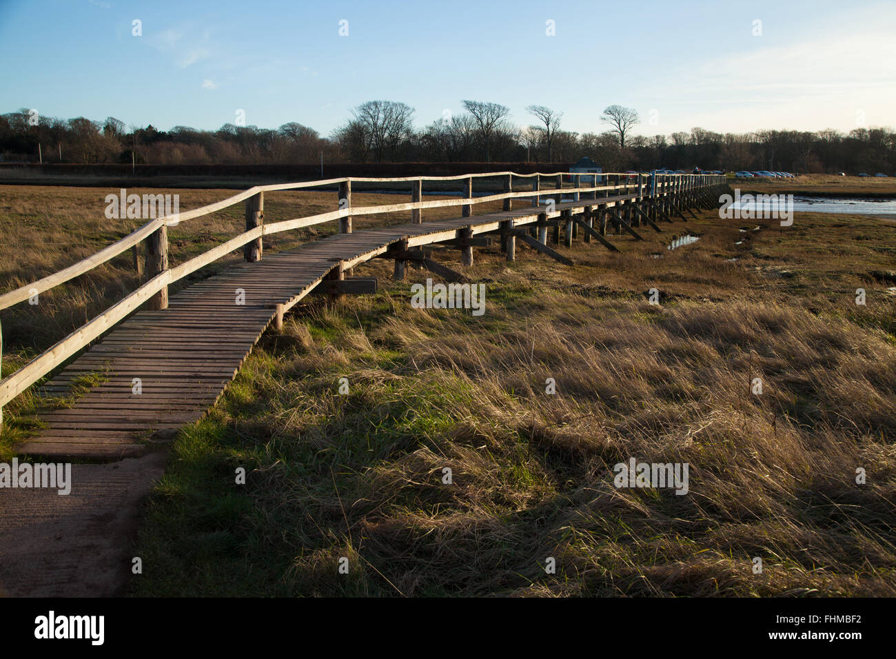 Lothian birding hi-res stock photography and images - Alamy