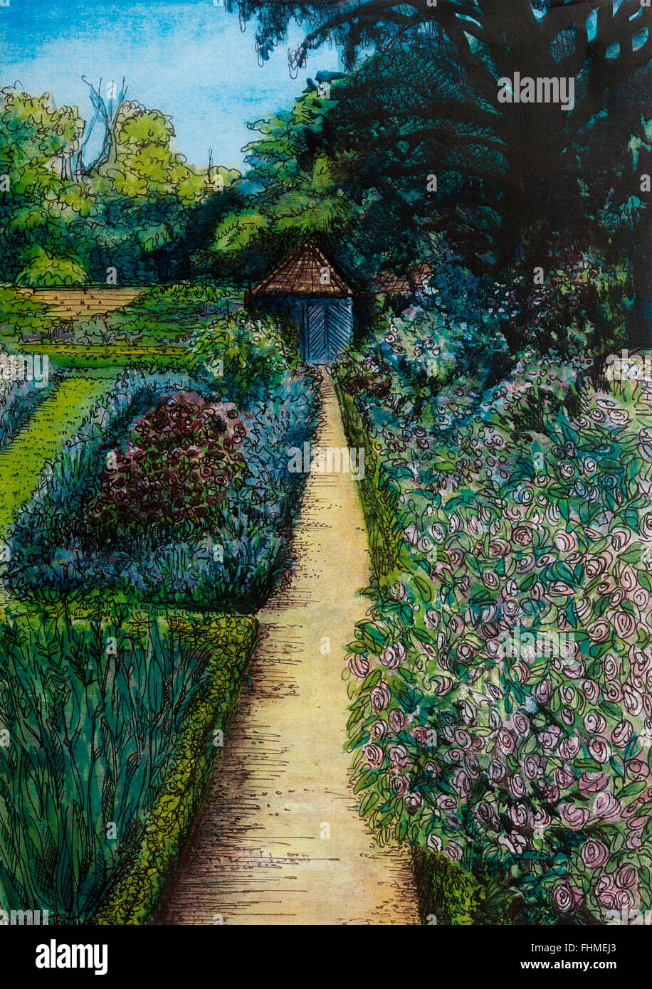 Coloured ink drawing of an English garden by artist Susie Hammond Stock ...