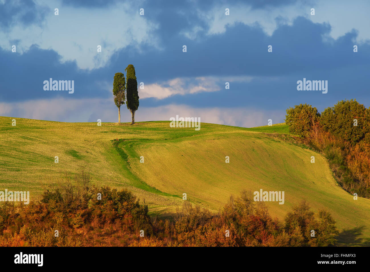 Landscape with trees Stock Photo - Alamy