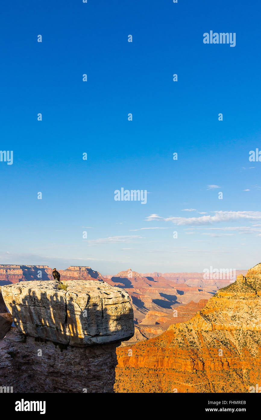 Shadow People High Resolution Stock Photography and Images - Alamy