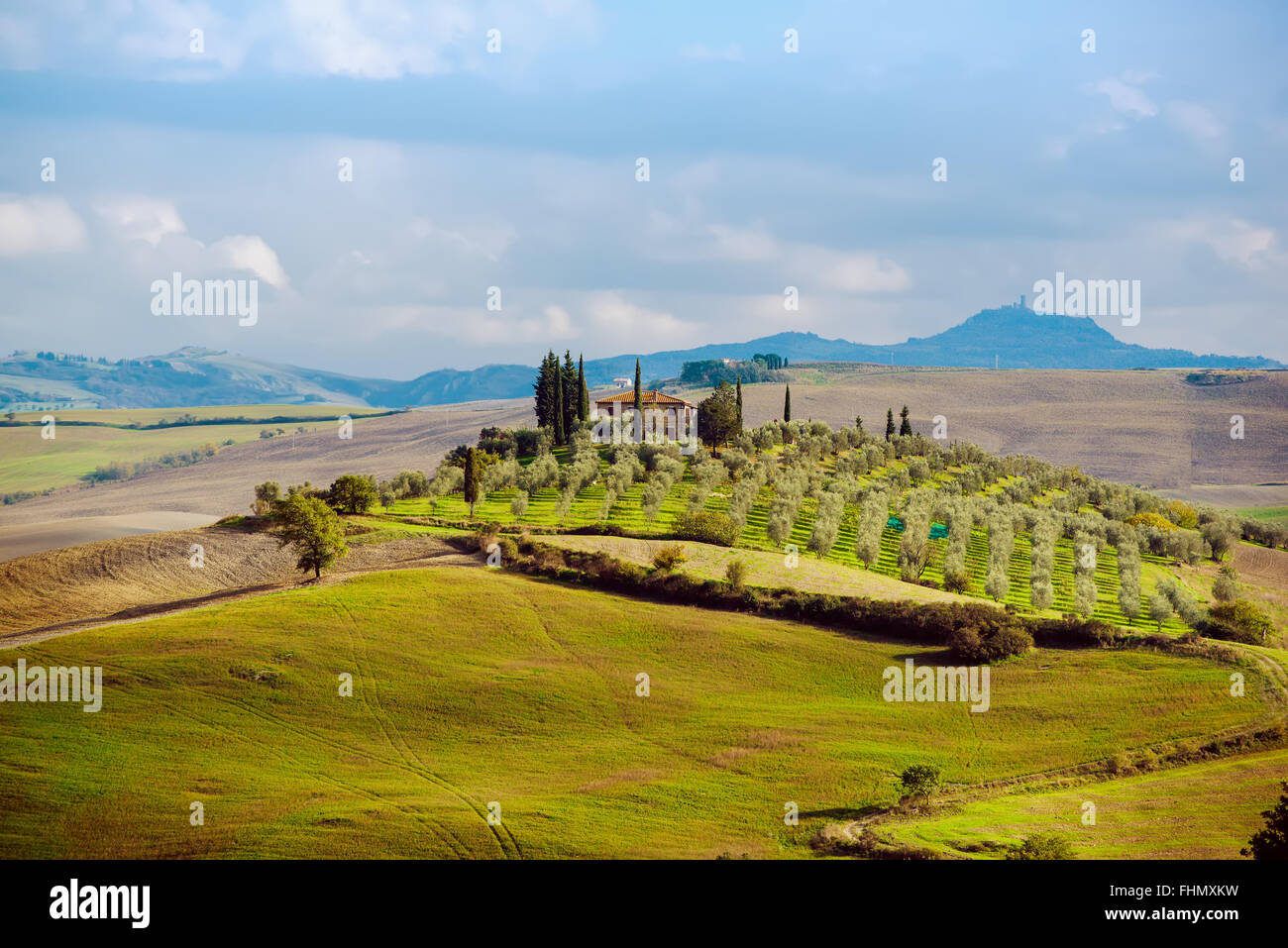 Rural spring landscape Stock Photo - Alamy