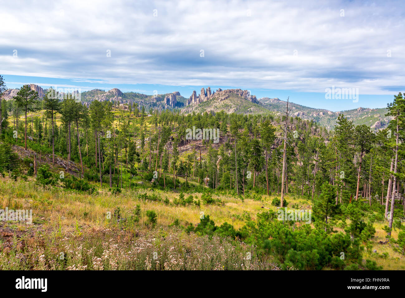 Custer State Park landscape with the Cathedral Spires rock formation ...