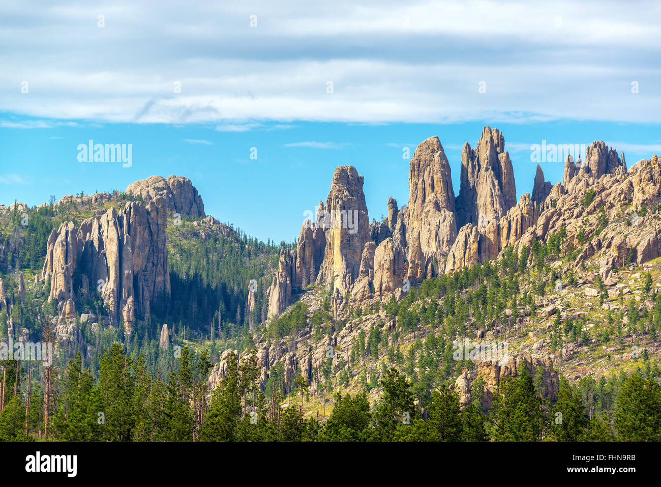 Forest Hills Formation High Resolution Stock Photography and Images - Alamy