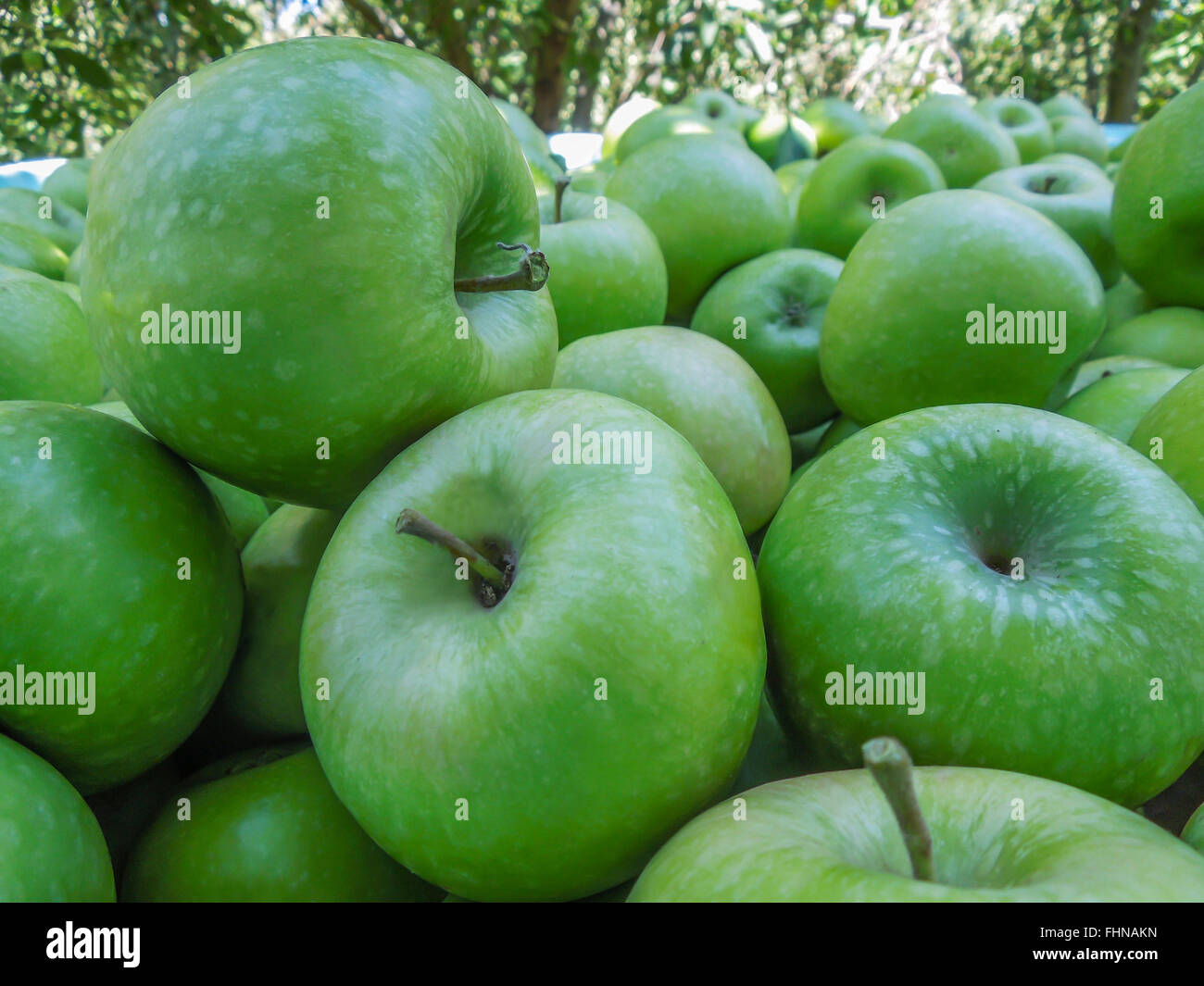 Apple co hi-res stock photography and images - Alamy