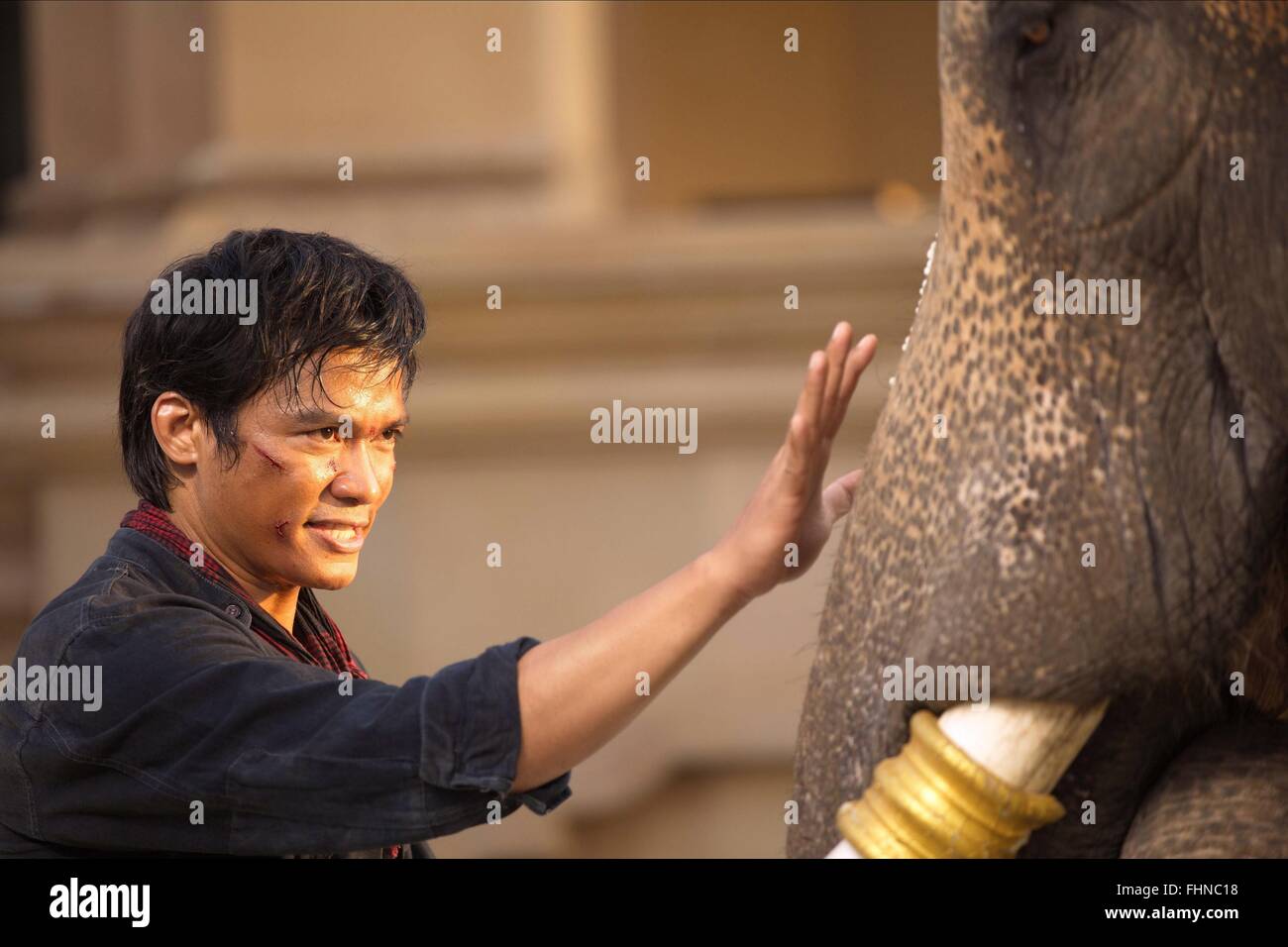 Tom Yum Goong 2 High Resolution Stock Photography and Images - Alamy