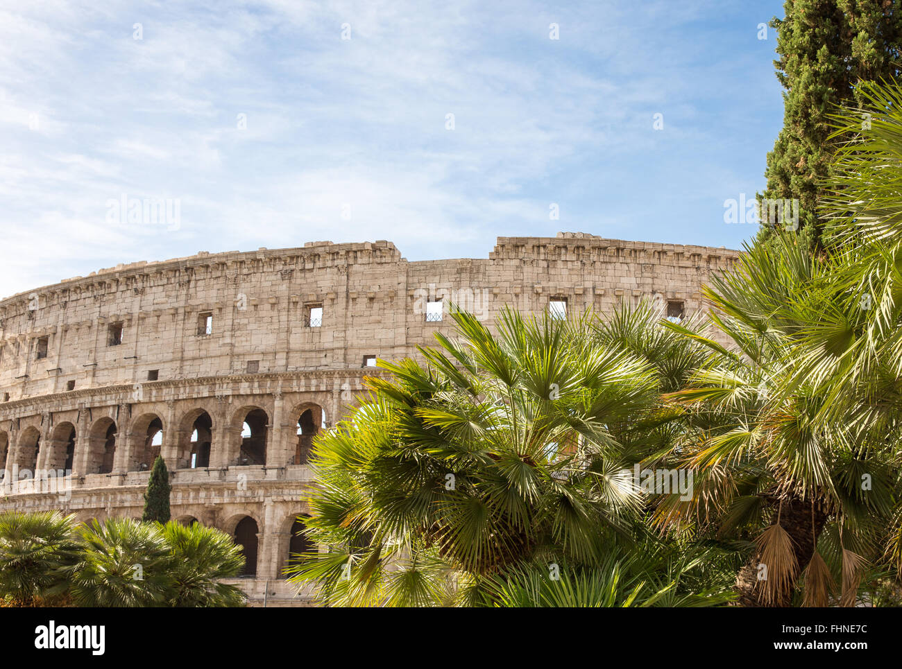 Section of the Roman Colosseum framed by green palm trees in the ...