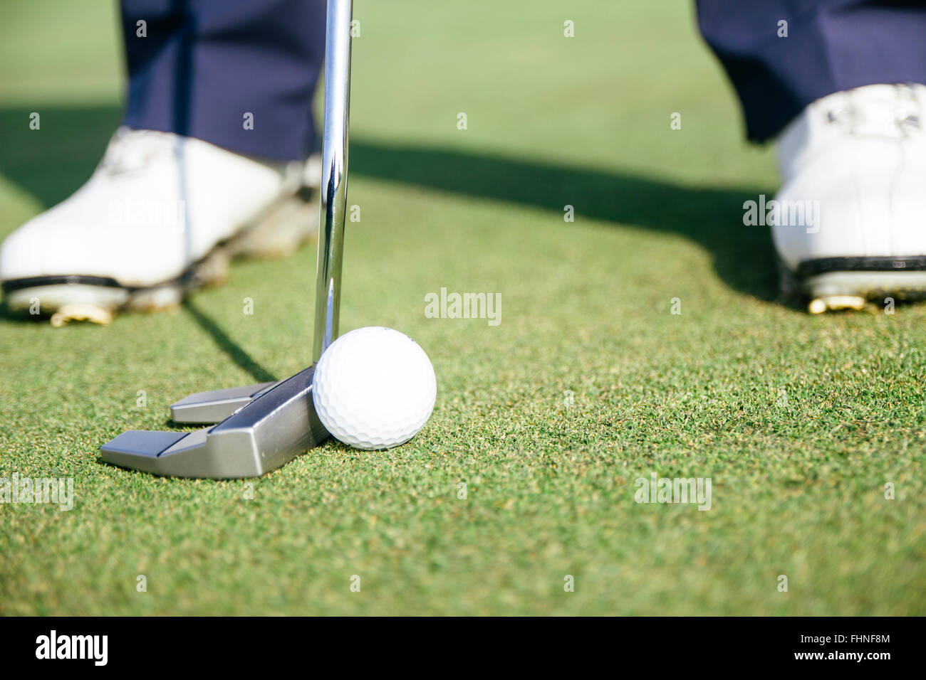 Close up of a golfer ready to hit a golf ball on the green of a golf ...
