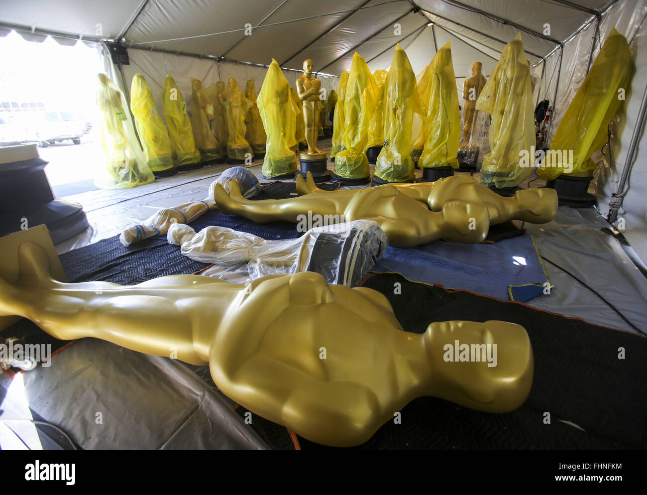 Los Angeles, California, USA. 25th Feb, 2016. Oscar statues are seen at ...
