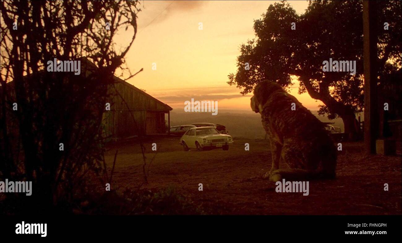 Cujo Movie High Resolution Stock Photography and Images - Alamy