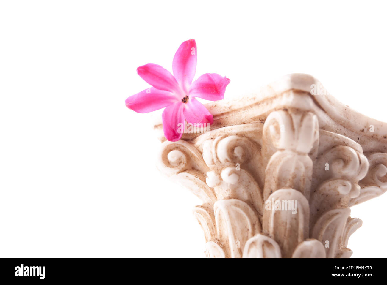Classical column with flower Stock Photo - Alamy