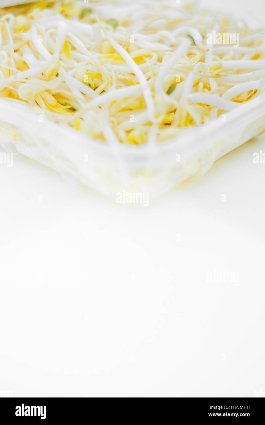 Bean sprouts in packaging on a white background Stock Photo - Alamy