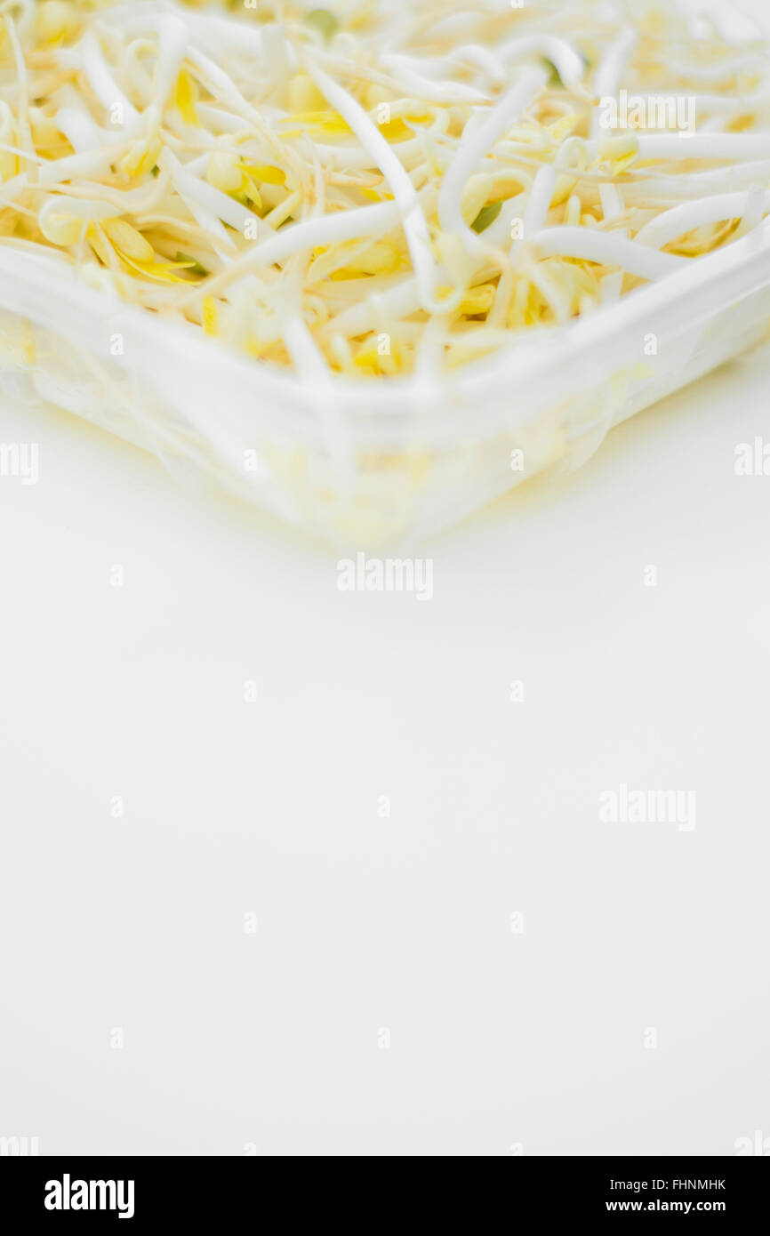 Bean sprouts in packaging on a white background Stock Photo - Alamy