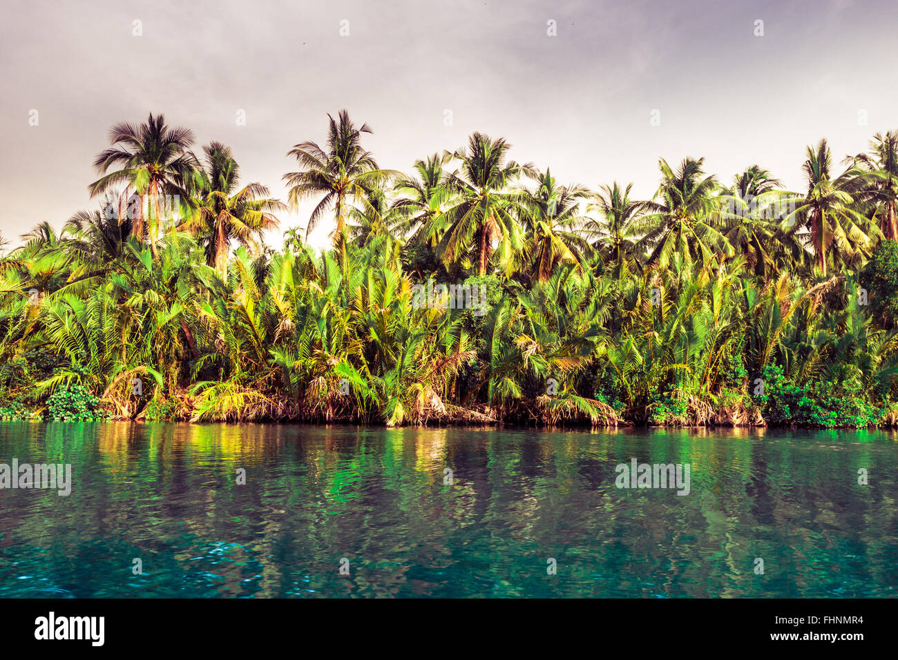 Palm trees on sea shore at beautiful sunny day Stock Photo - Alamy