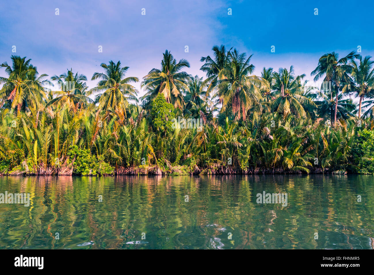 Palm trees on sea shore at beautiful sunny day Stock Photo - Alamy
