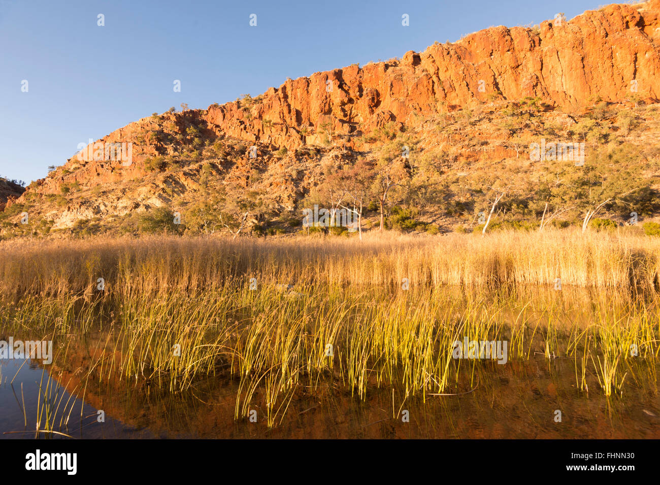 Northern rivers australia landscape hi-res stock photography and images ...