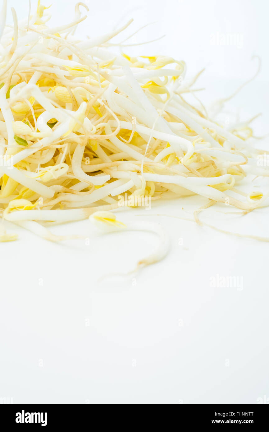 Bean sprouts on a white background Stock Photo - Alamy