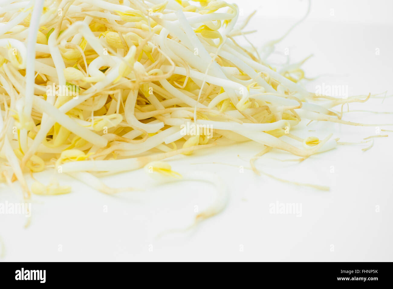 Bean sprouts on a white background Stock Photo - Alamy