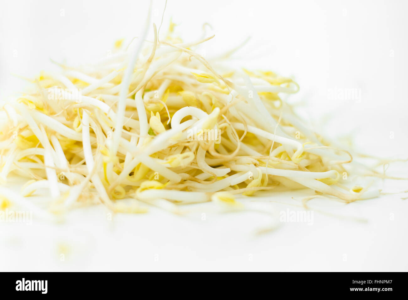 Bean sprouts on a white background Stock Photo - Alamy