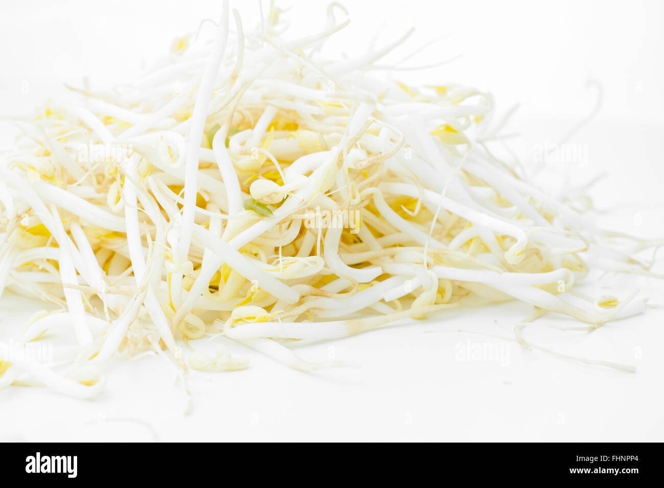 Bean sprouts on a white background Stock Photo - Alamy
