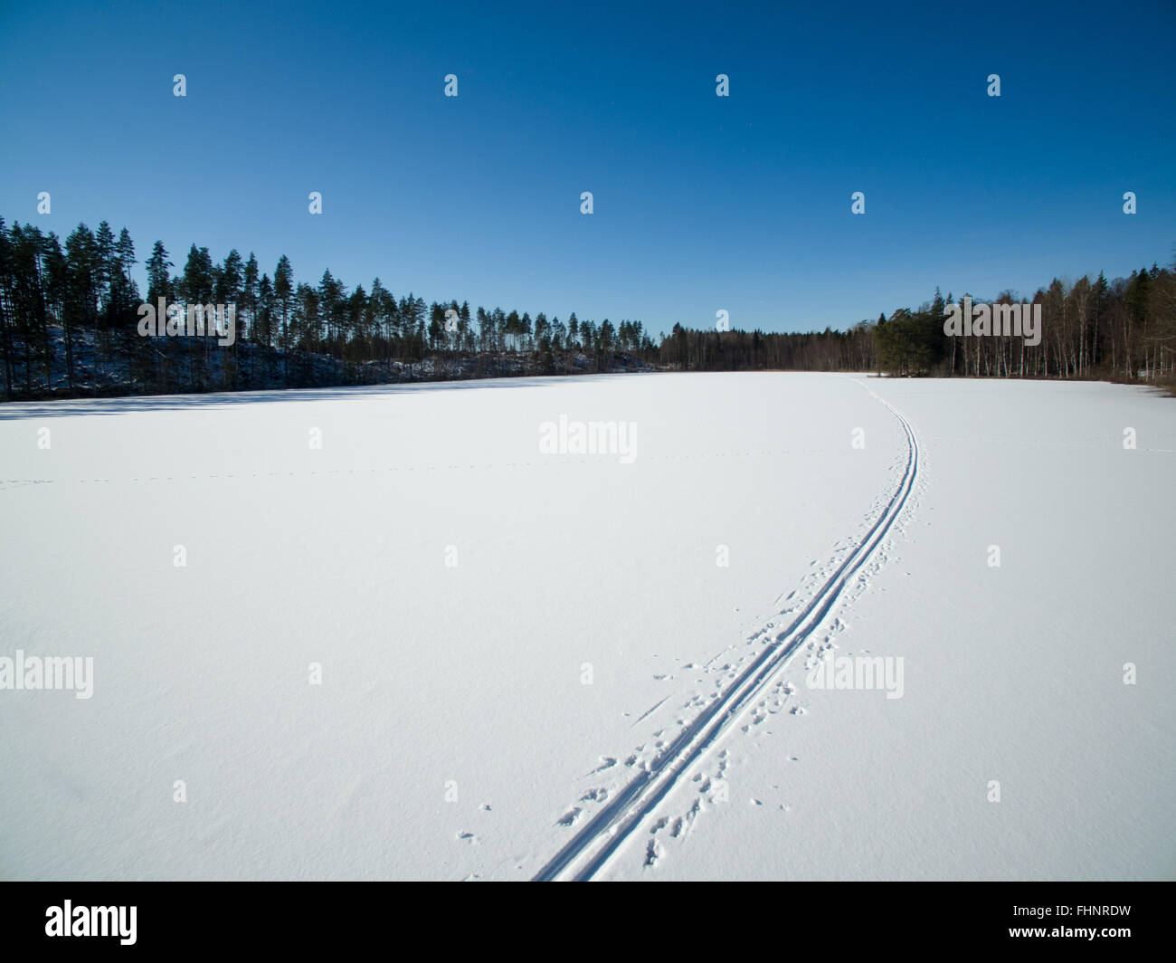 Cross-country ski tracks in the snow on a frozen lake Stock Photo - Alamy