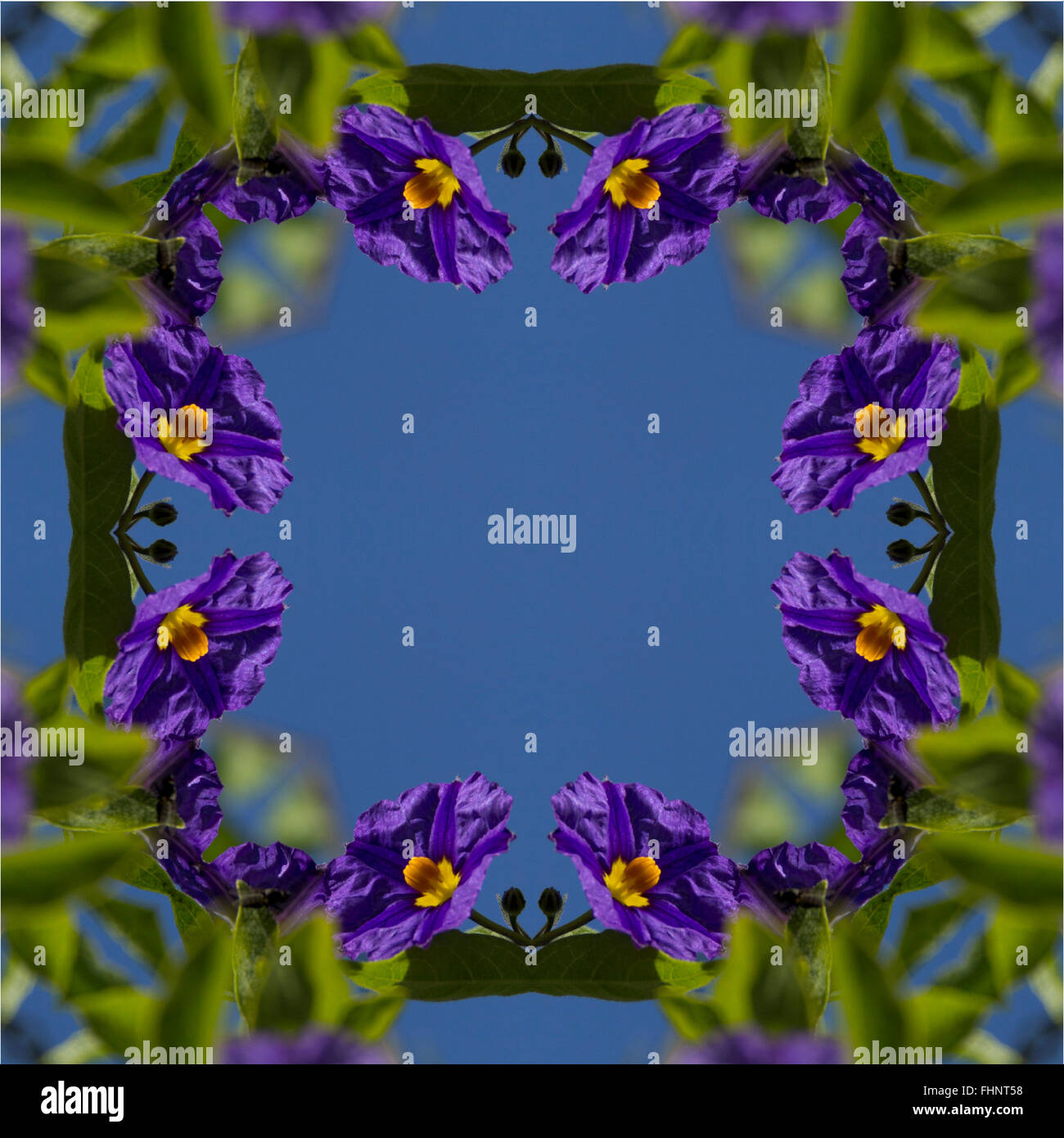 kaleidoscope, square, texture, pattern, symmetry, background, abstract ...