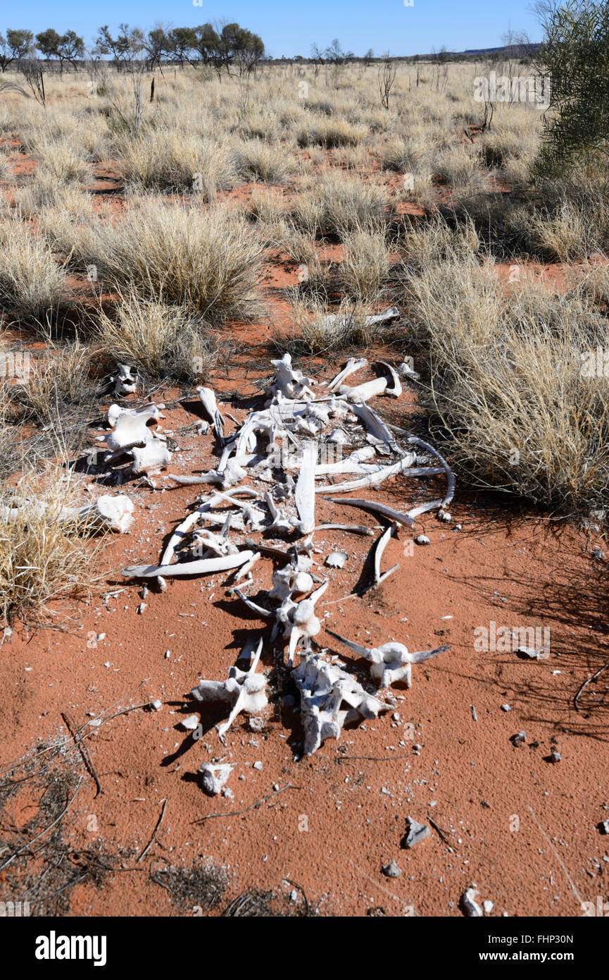 Drought nt hi-res stock photography and images - Alamy