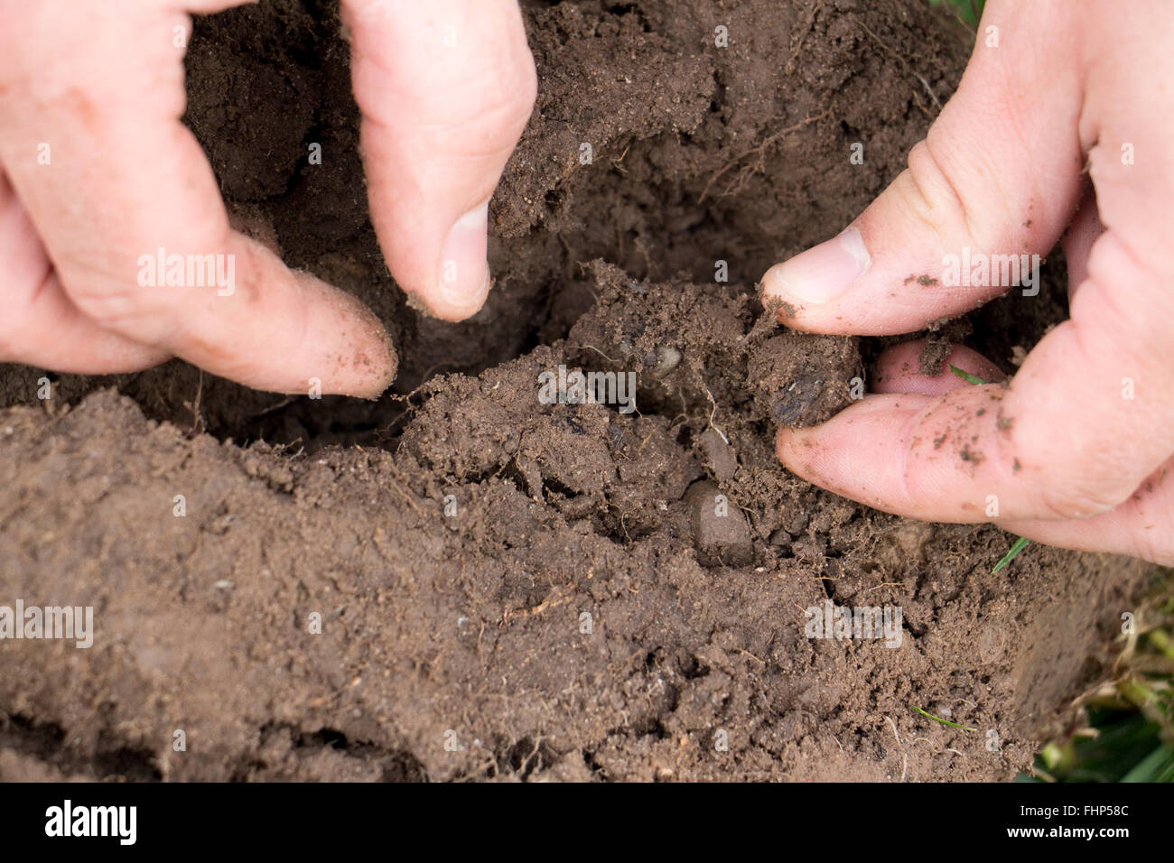 Checking soil health and structure Stock Photo - Alamy