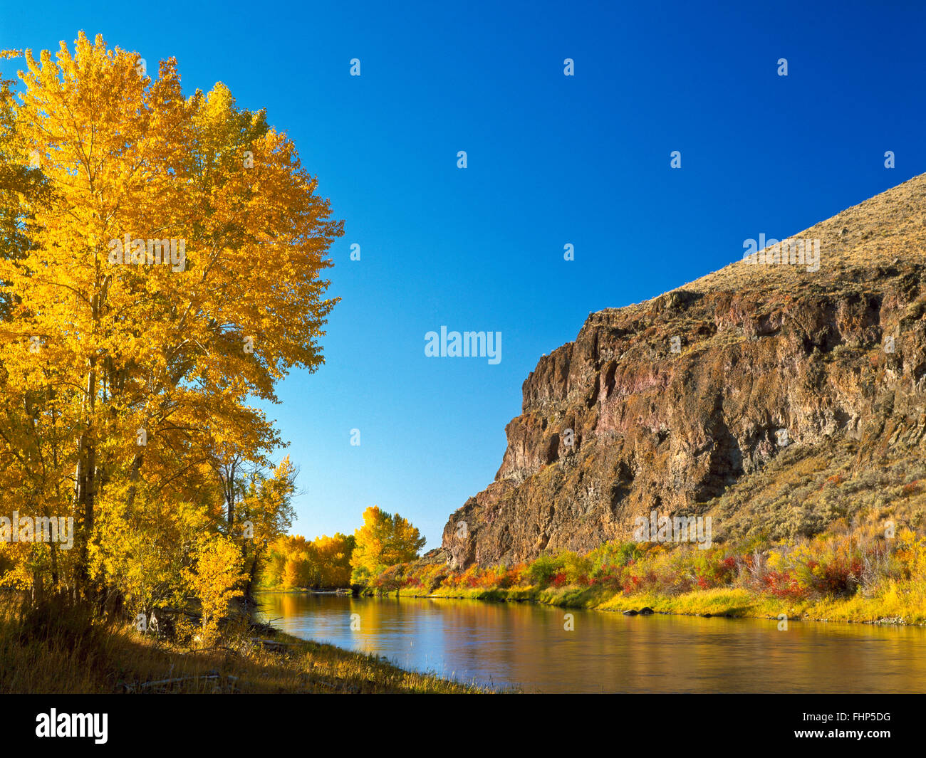 fall colors and cliff along the big hole river near melrose, montana ...
