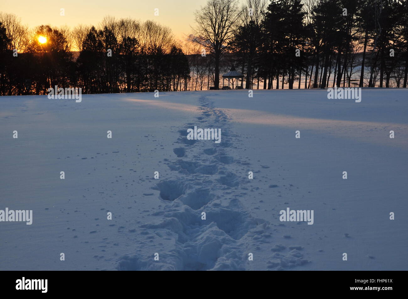 Snow winter morning hi-res stock photography and images - Alamy